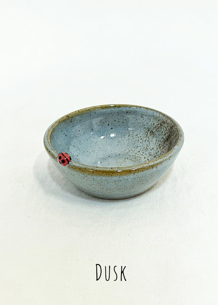 Mini Bowl - Bug Pottery